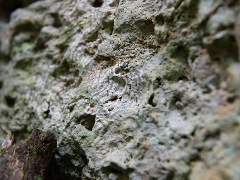 What is Karst? – Citizens of the Karst